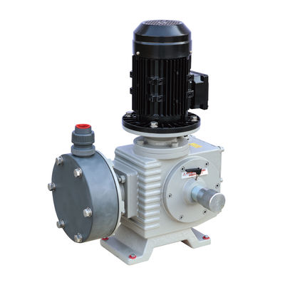 Metering Dosing Pump manufacturer from China